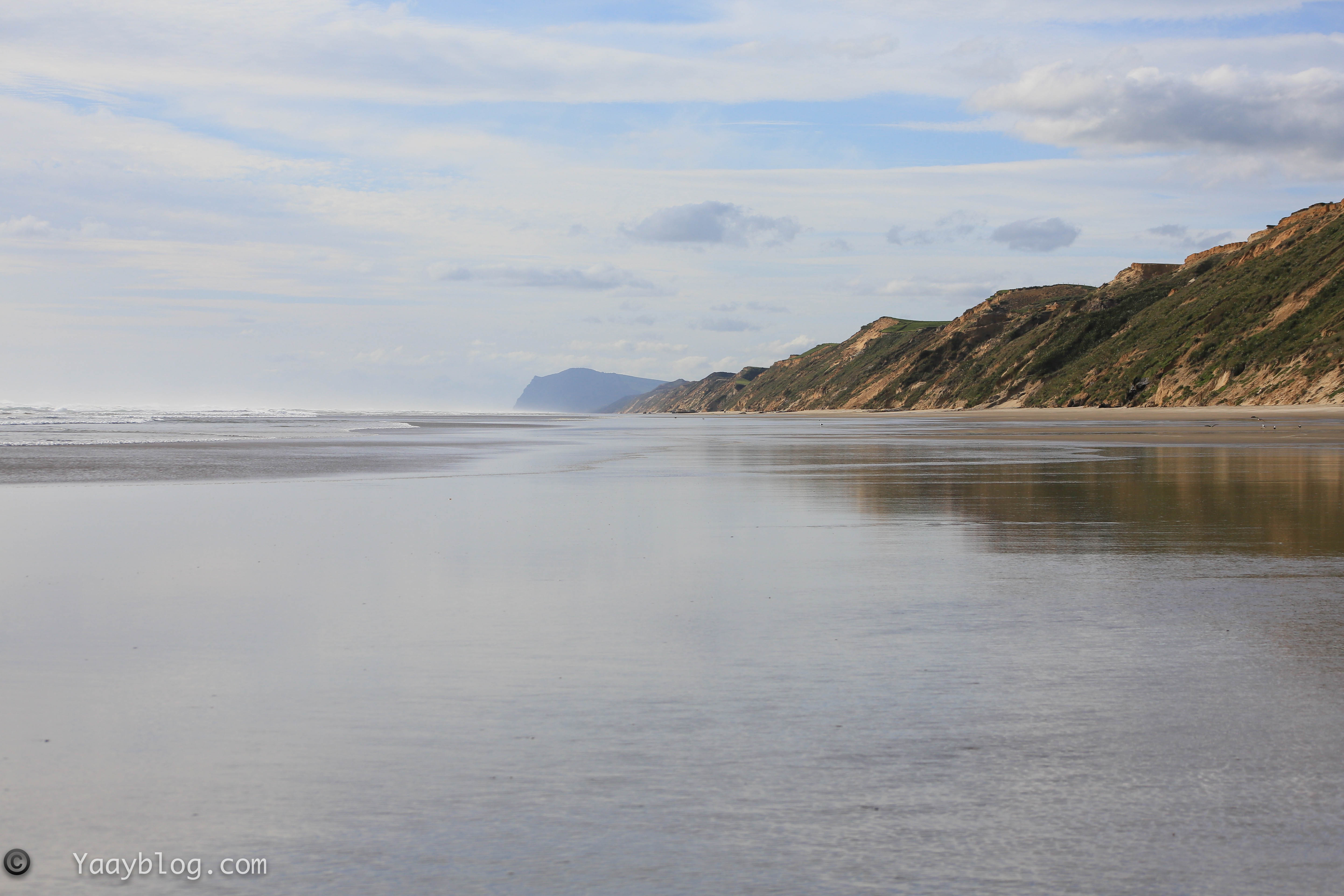 Baylys beach on the Kauri coast (West coast New Zealand) – YAAY!